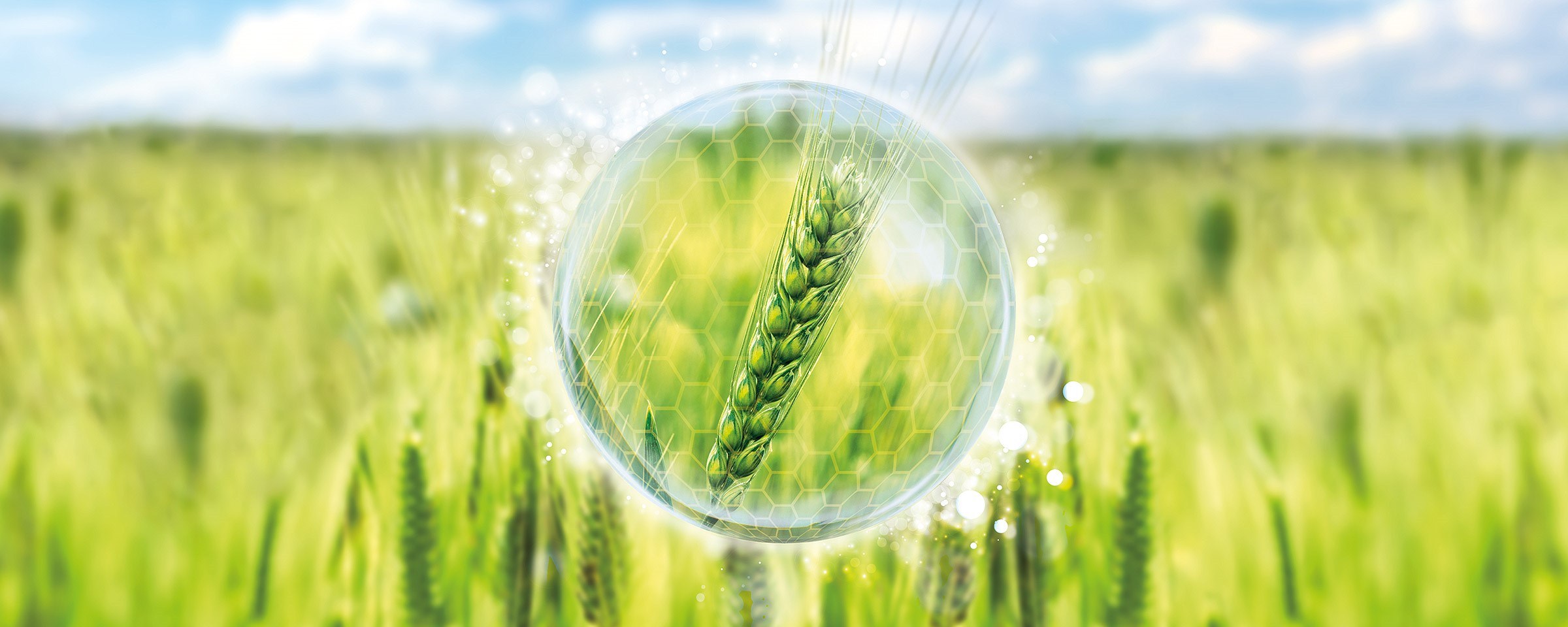 BASF Agricultural Solutions Österreich