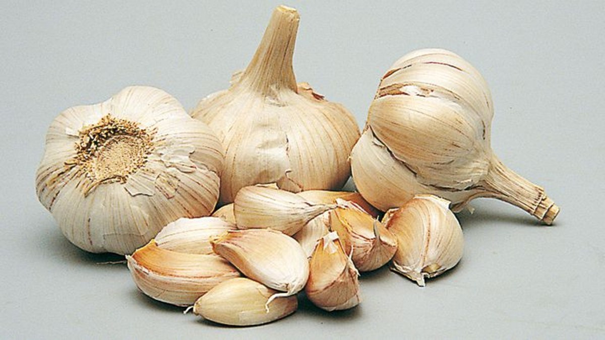 Knoblauch - BASF Agricultural Solutions Austria