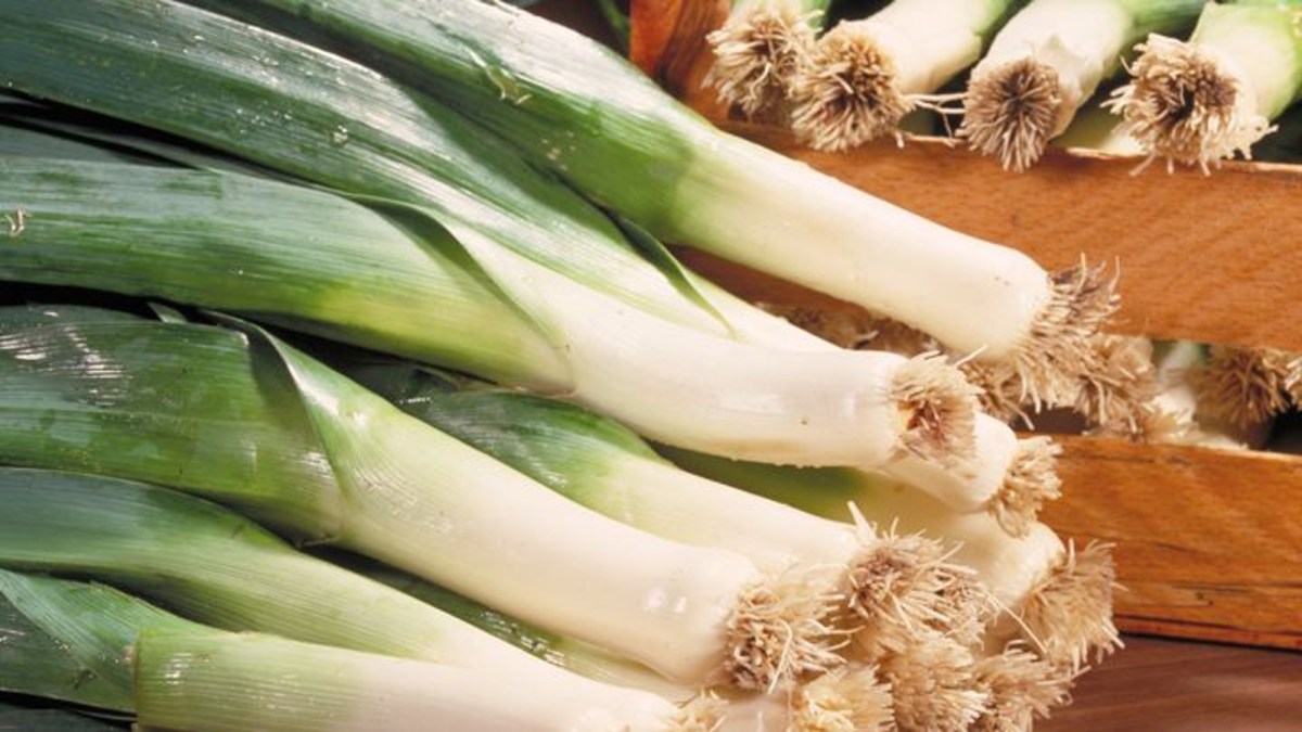 Porree - BASF Agricultural Solutions Austria